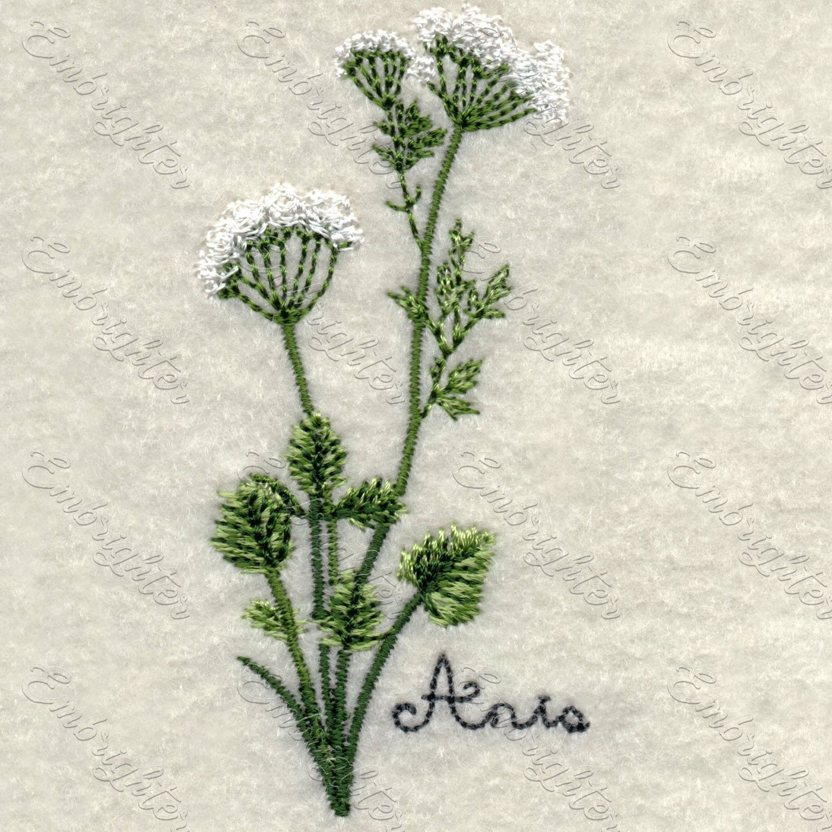 Kräuter - Anis embroidery design in two sizes ( in German ) – Embrighter