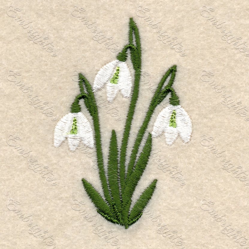 Snowdrops embroidery design – Embrighter