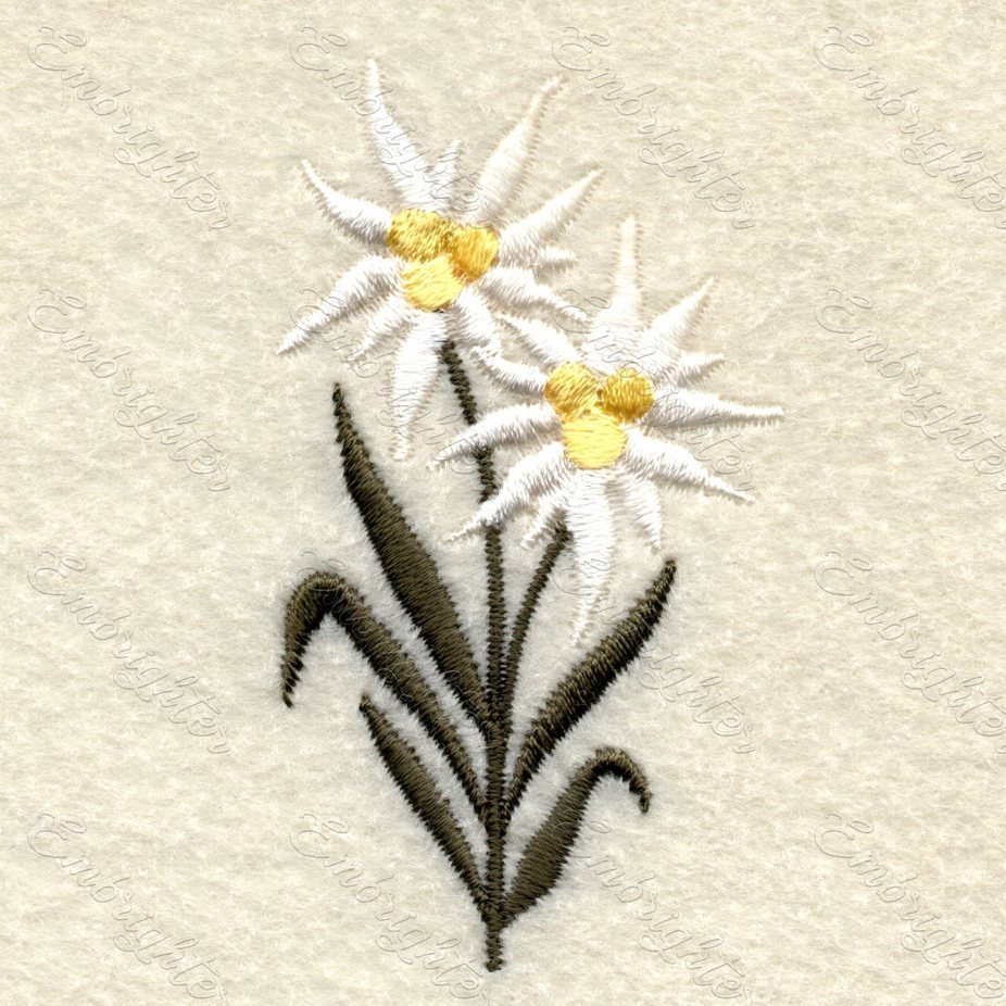 Two edelweiss flowers machine embroidery design – Embrighter